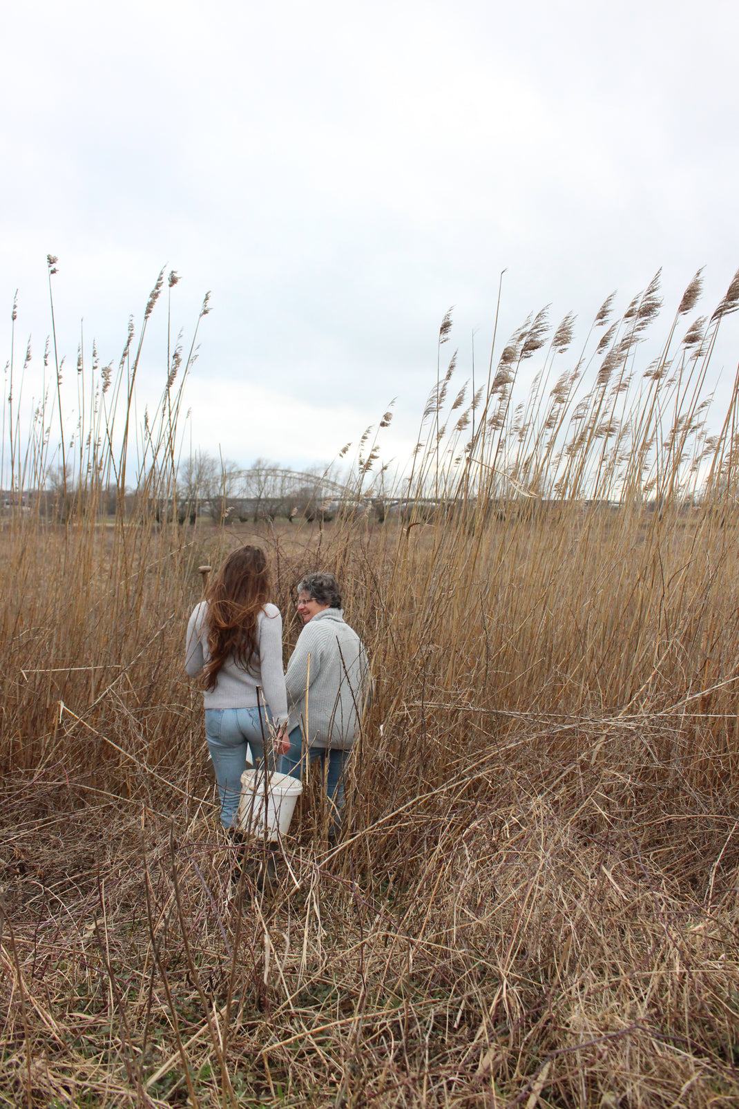 Ons bedrijf – Kleimegen